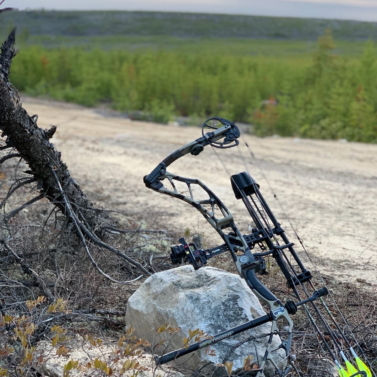 USA Archery Level 1 | Outdoor 101